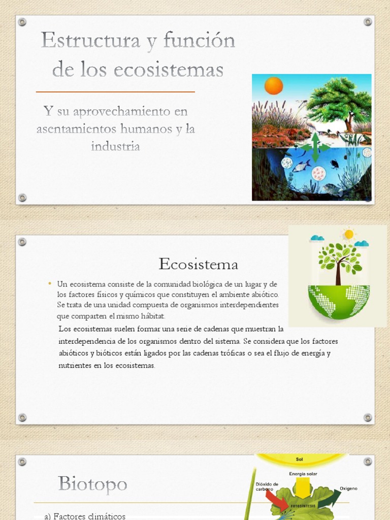 Estructura y Función de Los Ecosistemas | PDF | Ecosistema | Suelo