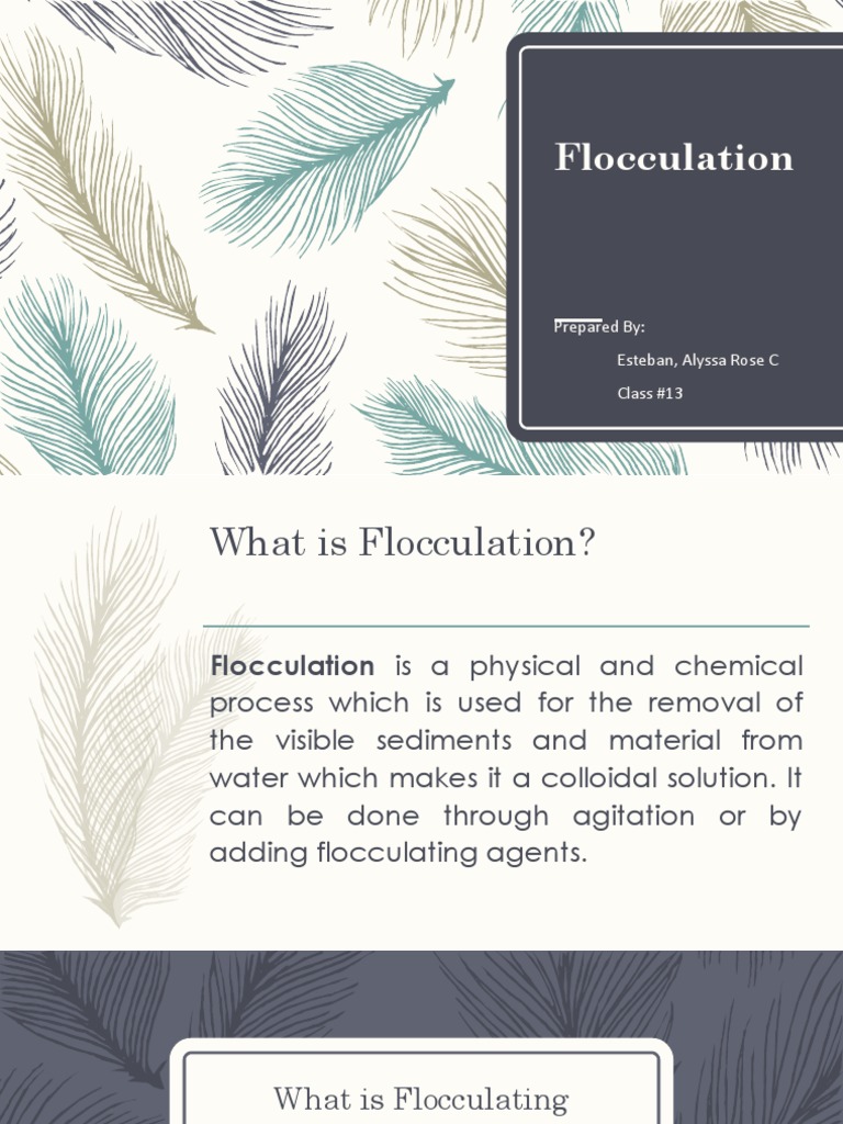 Flocculation: Prepared By: Esteban, Alyssa Rose C Class #13 | PDF ...