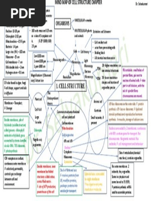 Cell Structure Concept Map