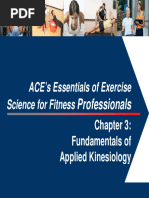 Fugl-Meyer Assessment Lower Extremity (Fma-Le) Assessment of Sensorimotor Function | PDF ...