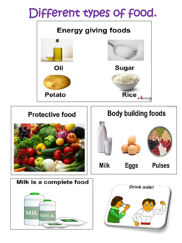 Evs - Food | PDF