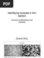 Mineral Identification in Thin Sections | PDF | Minerals | Mineralogy