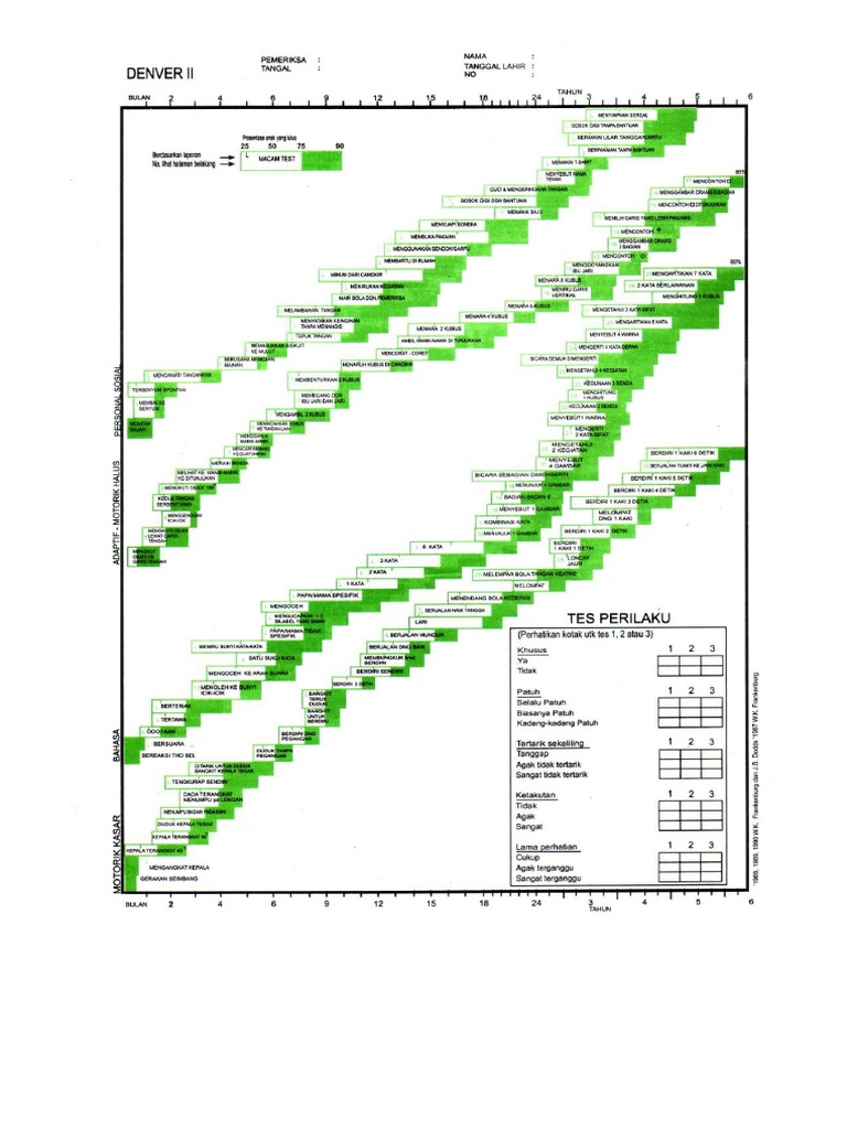format denver II.docx
