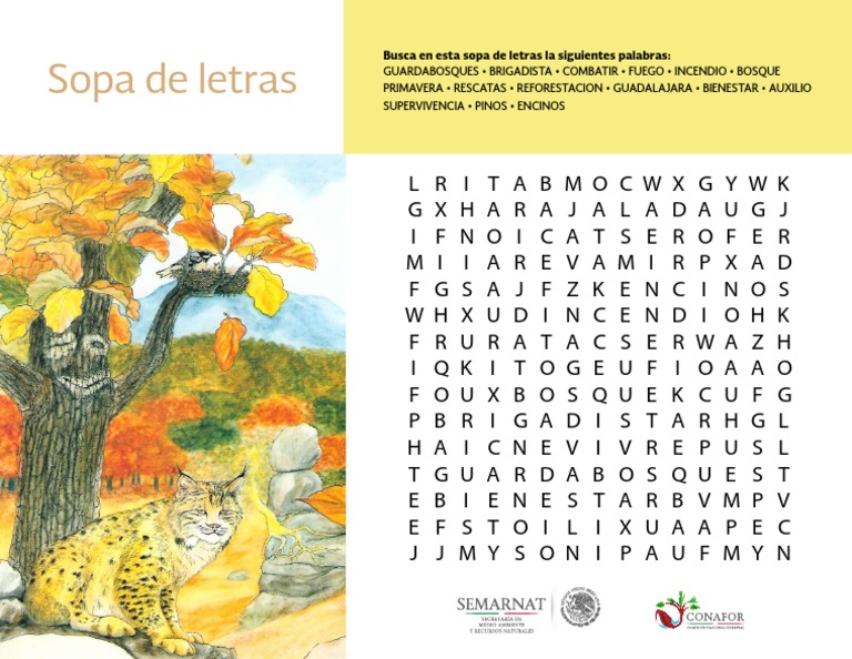 Sopa de letras: incendios y bosques | PDF