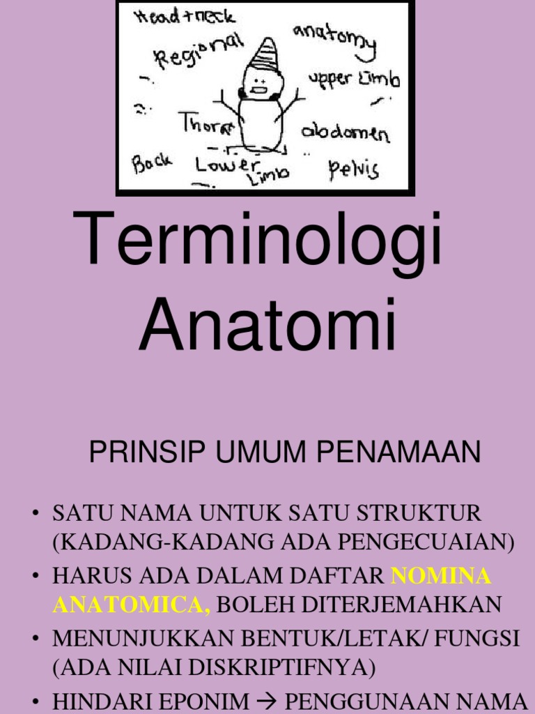 Terminologi Anatomia | PDF | Anatomical Terms Of Motion | Anatomical ...