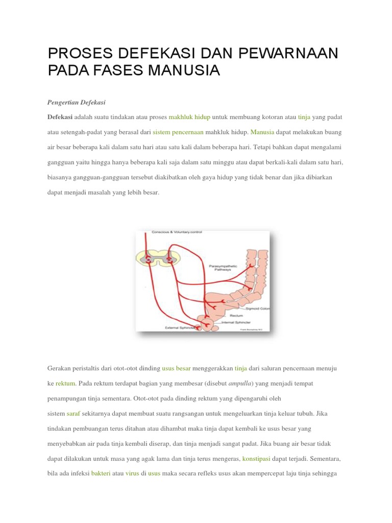 Proses Defekasi Dan Pewarnaan Pada Fases | PDF