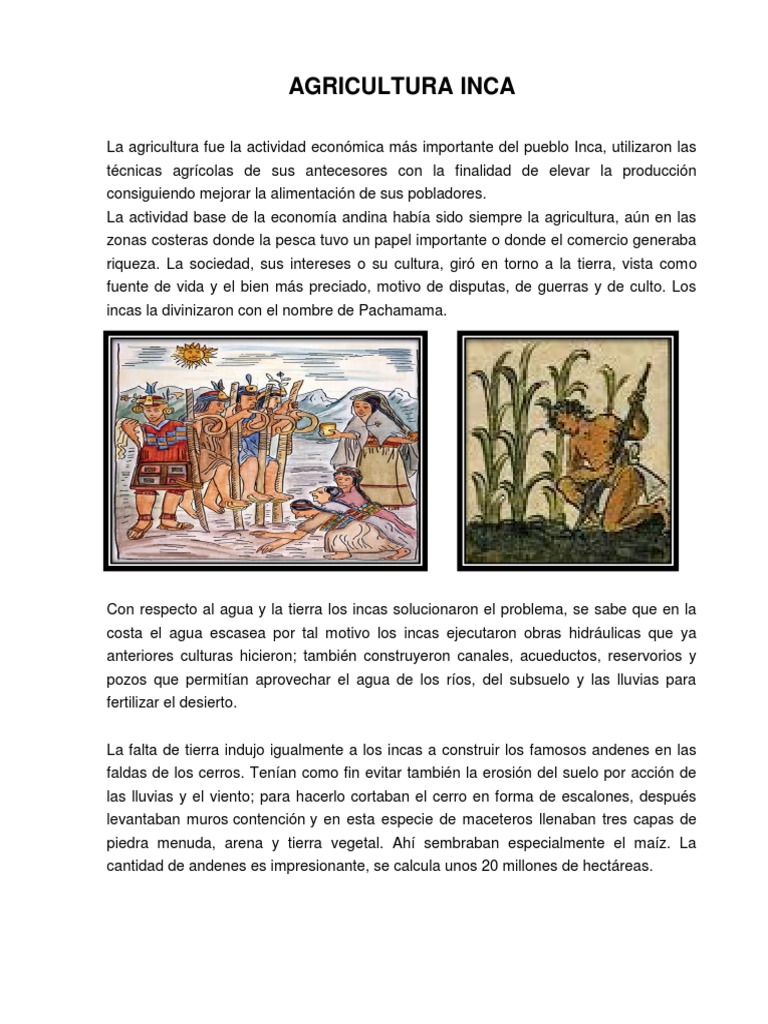Técnicas Agrícolas de los Incas | PDF | Imperio Inca | Riego