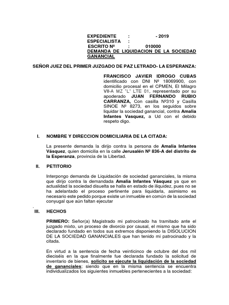 Demanda Liquidacion | PDF | Propiedad de la comunidad | Divorcio