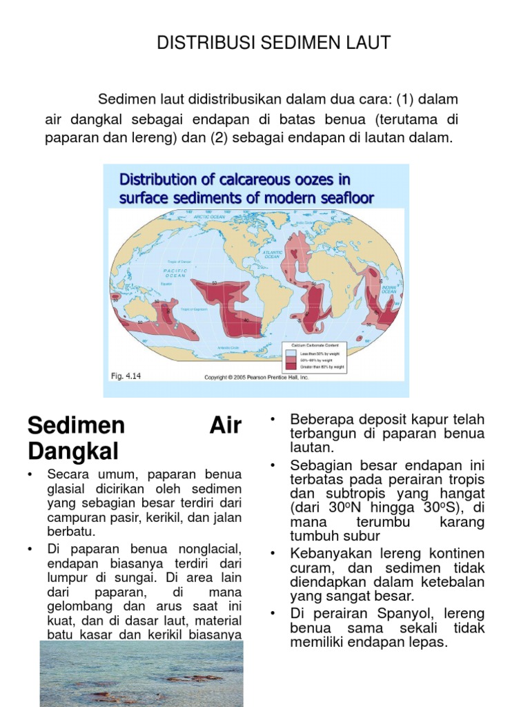 Distribusi Sedimen Laut | PDF