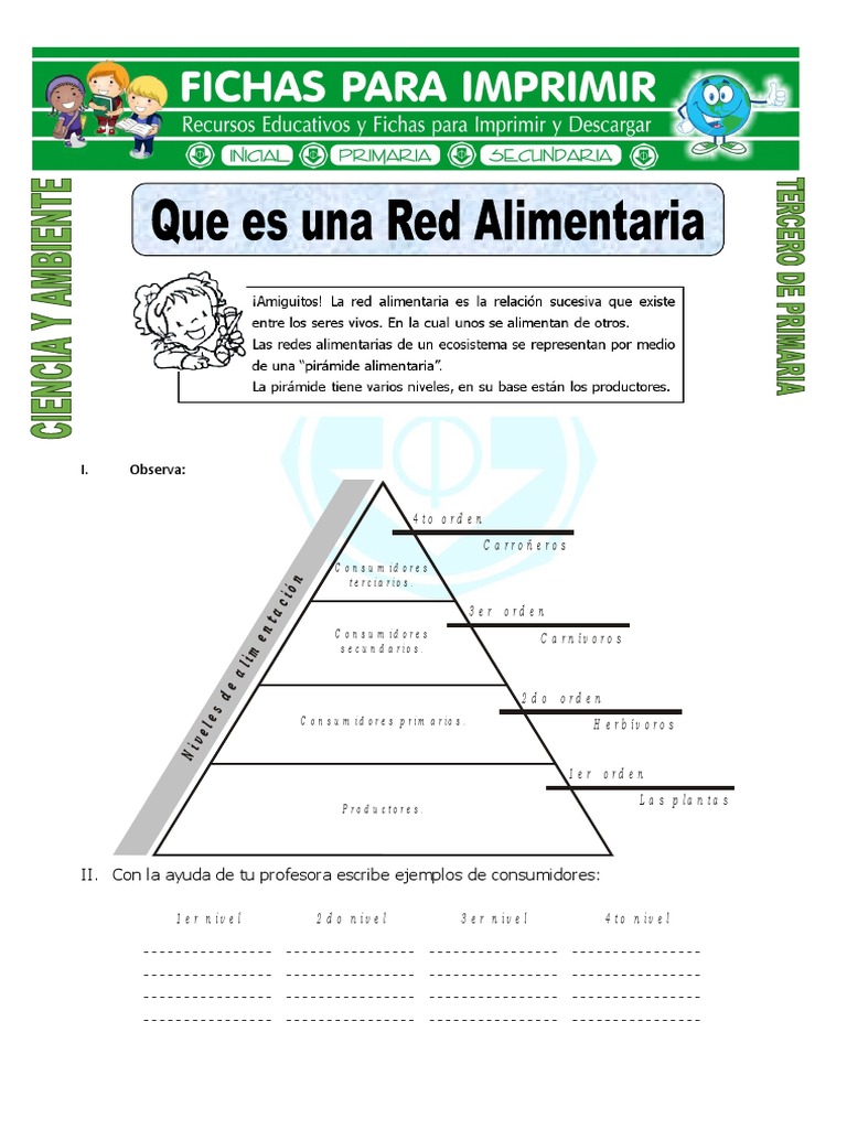 Ficha de Que Es Una Red Alimentaria para Tercero de Primaria | PDF