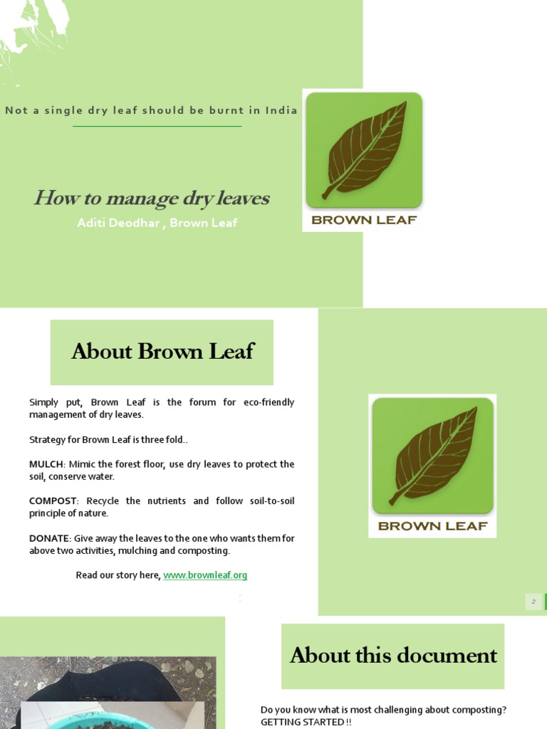 How To Manage Dry Leaves | PDF | Compost | Stoma