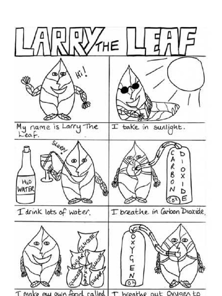 Larry The Leaf Coloring Page | PDF