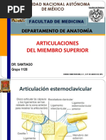 Apófisis Coracoides | PDF | Hombro | Extremidades (anatomía)