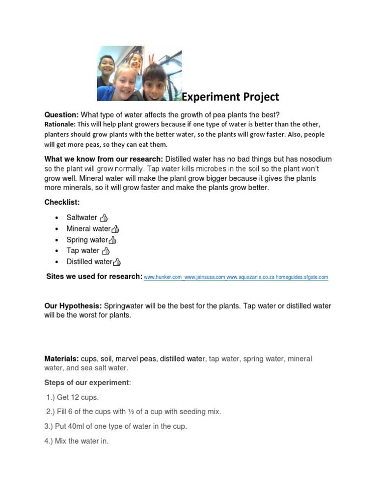 Plant Experiment | PDF | Plants | Botany