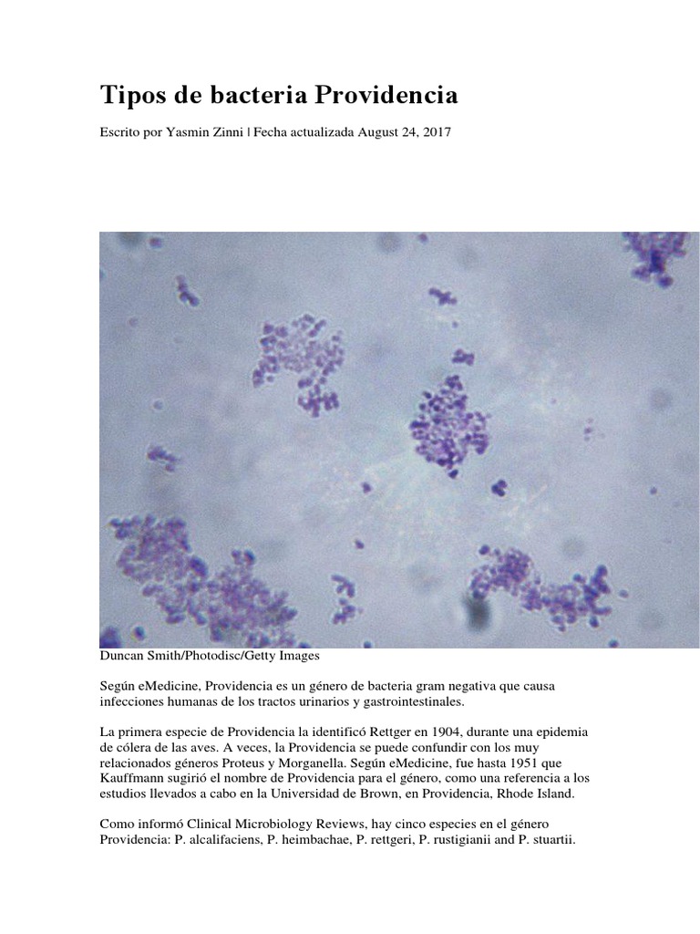 Tipos de Bacteria Providencia | PDF | Microbiología | Especialidades ...