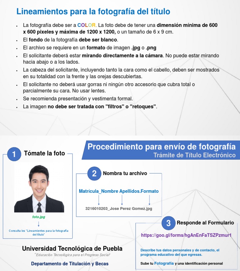 Lineamientos Titulo Electronico | PDF