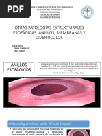 PIOTÓRAX | PDF | Medicina | Inmunología
