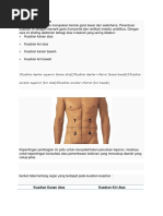 9 Regio Abdomen dan Organ Terkait | PDF