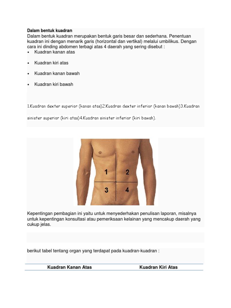 Pembagian Kuadran dan Regio Abdomen | PDF | Sains & Matematika