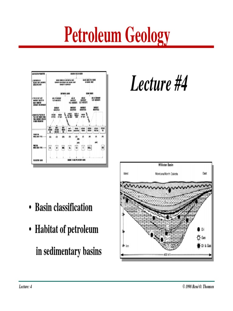 Basin Profile | PDF | Sedimentary Basin | Petroleum Reservoir