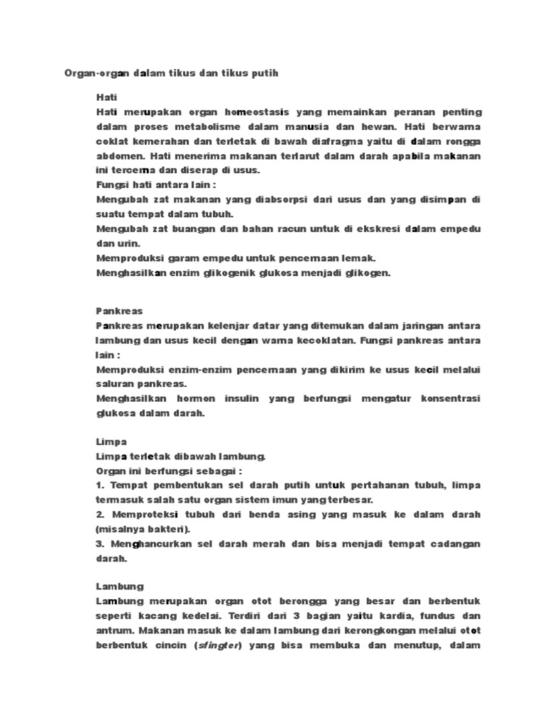 Organ-Organ Dalam Mencit | PDF