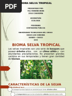 Biomas de Selvas Tropicales: Clima y Biodiversidad | PDF | Selva | Zona ...