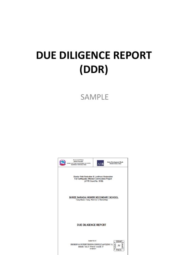 EEAP - Sample DDR Report | PDF