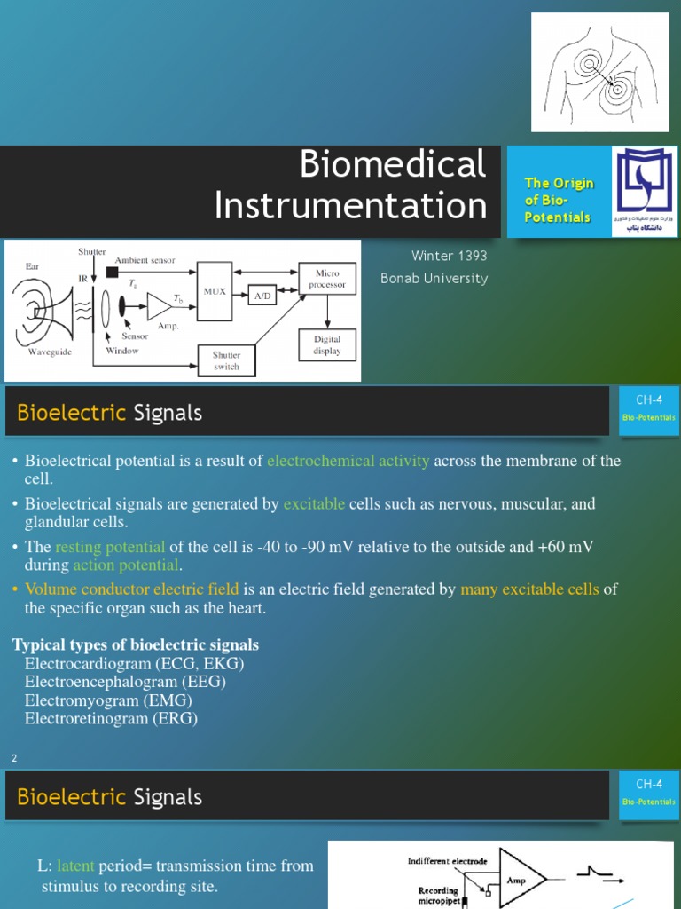 Bio Instrument 4 Origin BioPotential 2 | PDF | Motor Neuron | Action ...