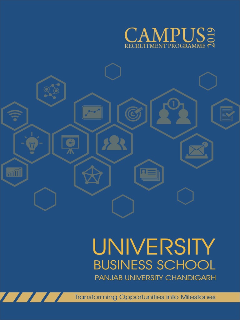 Ubs Placement Brochure 2019 PDF | PDF | Marketing | Business