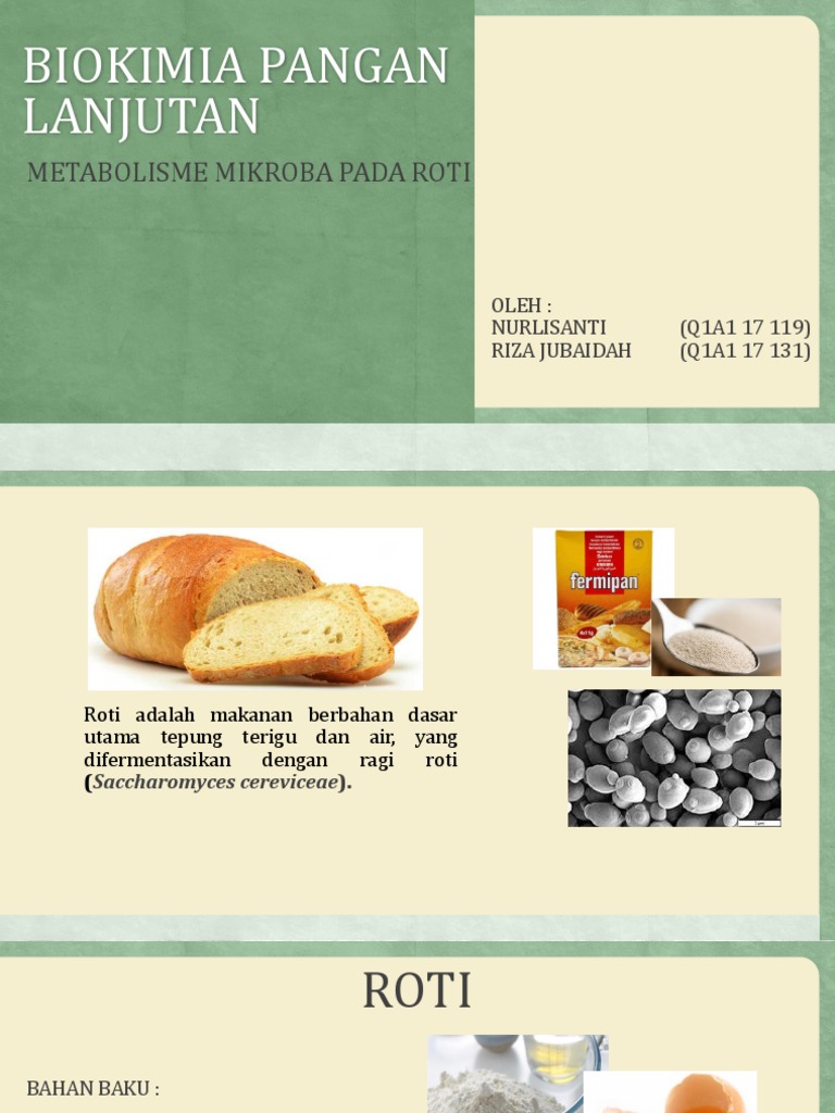 Metabolisme Mikroba Pada Roti | PDF