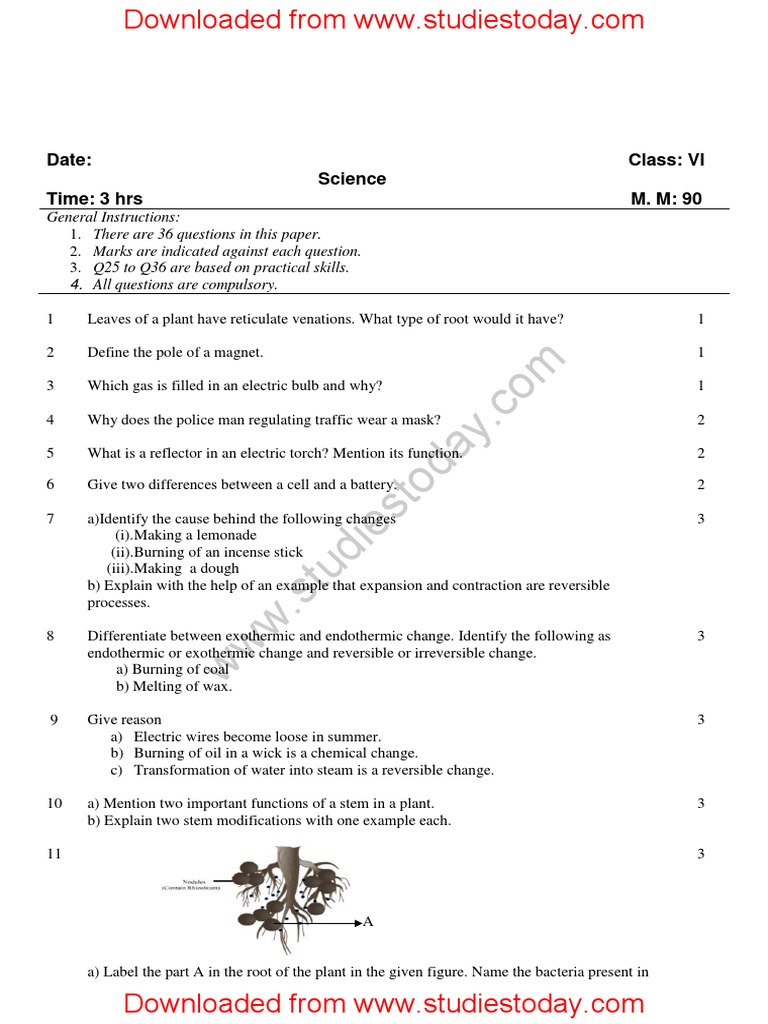 CBSE Class 6 Science Question Paper Set C | PDF | Magnet | Compass