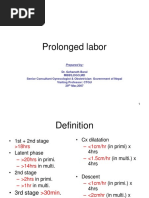 Who Labour Care Guide | PDF | Childbirth | Causes Of Death
