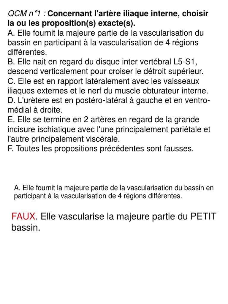 Anatomie et Vascularisation des Artères et Veines Iliaques | PDF ...