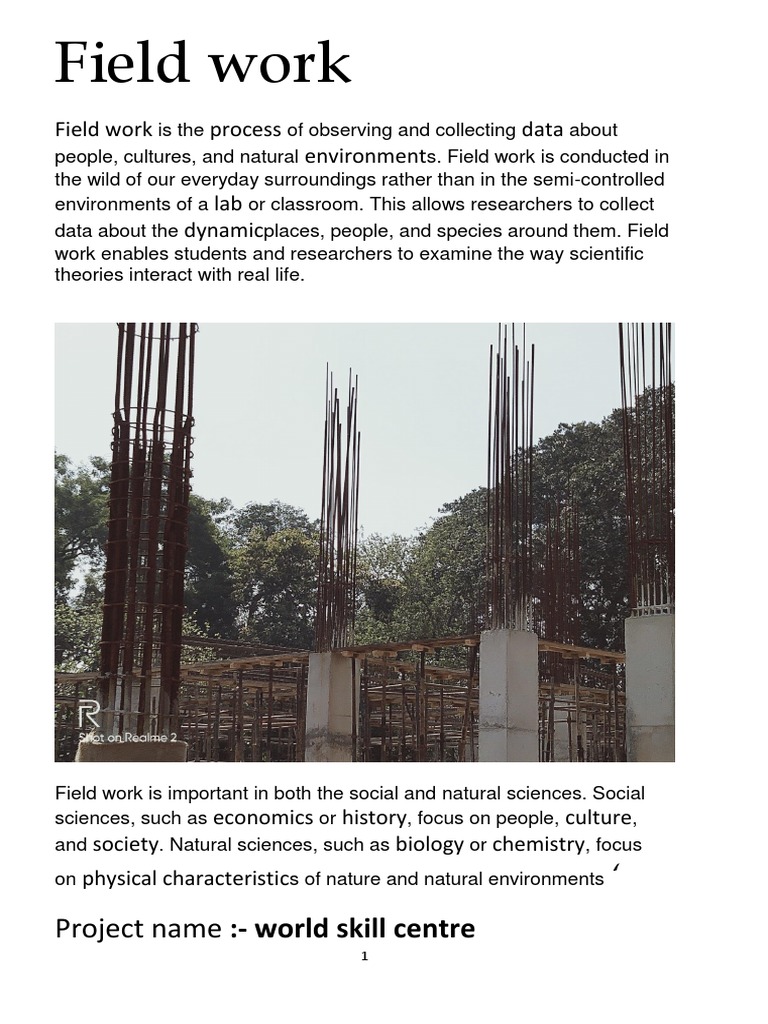 Field Work: Project Name:-World Skill Centre | PDF | Wall | Stairs