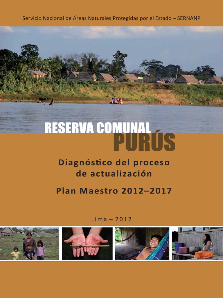 Diagnostico PM 2012 - 2017 RC Purus Ver Pub PDF | PDF
