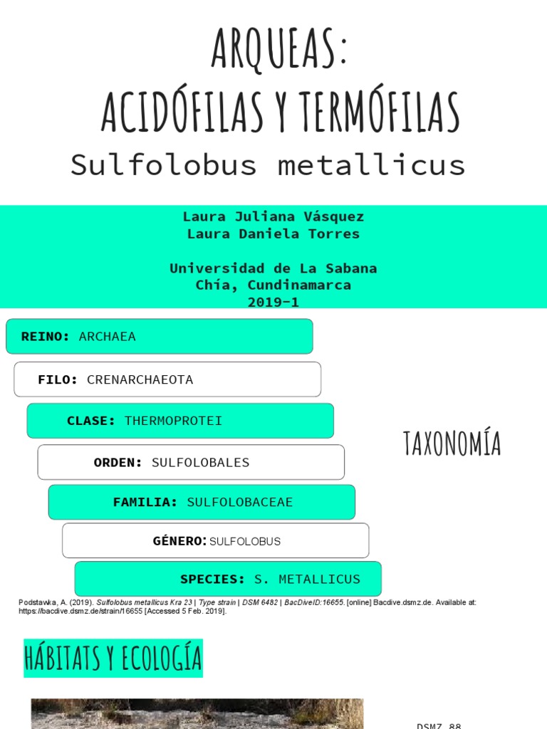 ARQUEAS | PDF | Archaea | Biología