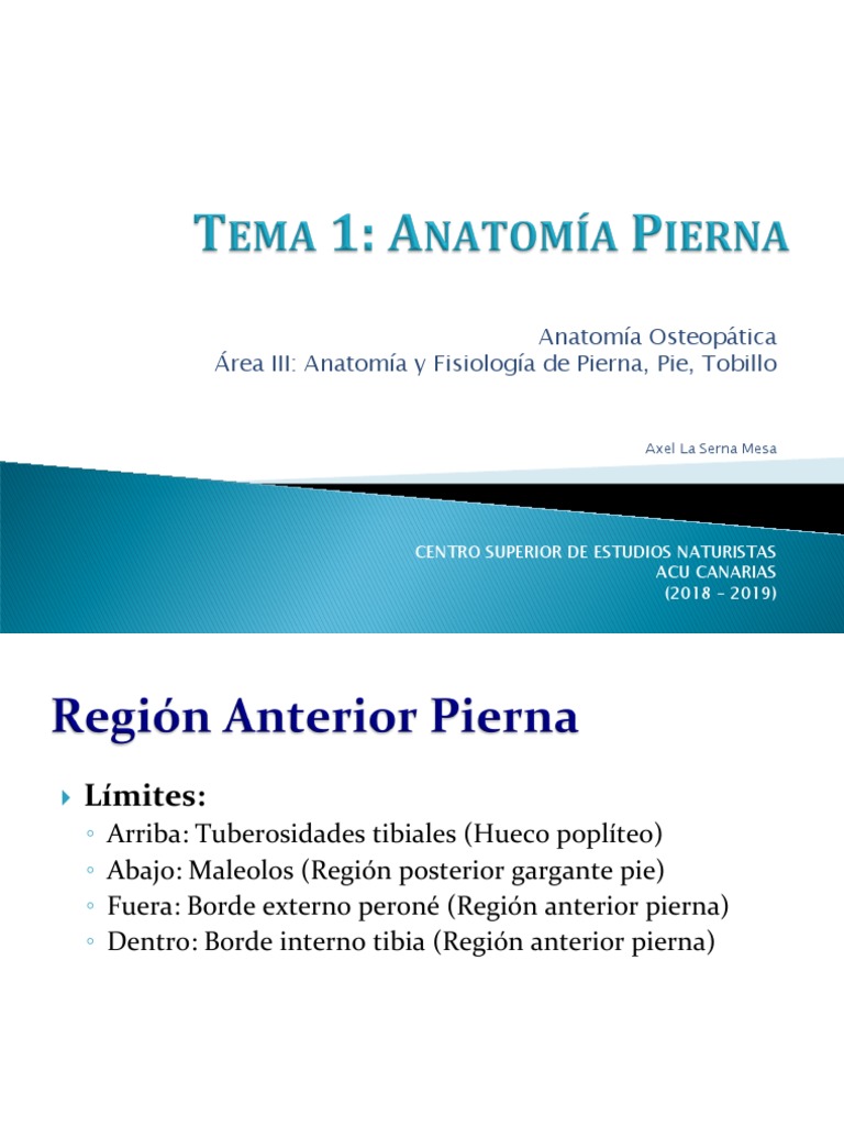 TEMA 1 Pierna ANATOMÍA PDF | PDF | Tobillo | Pie