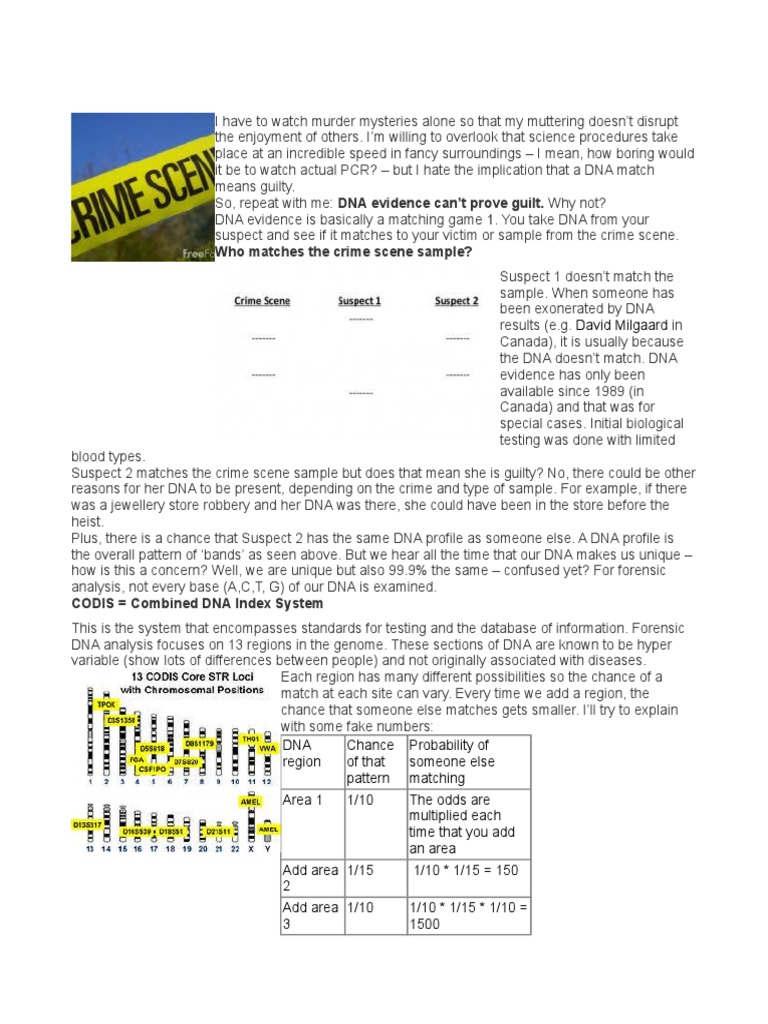 Who Matches The Crime Scene Sample? | PDF | Dna Profiling | Evidence