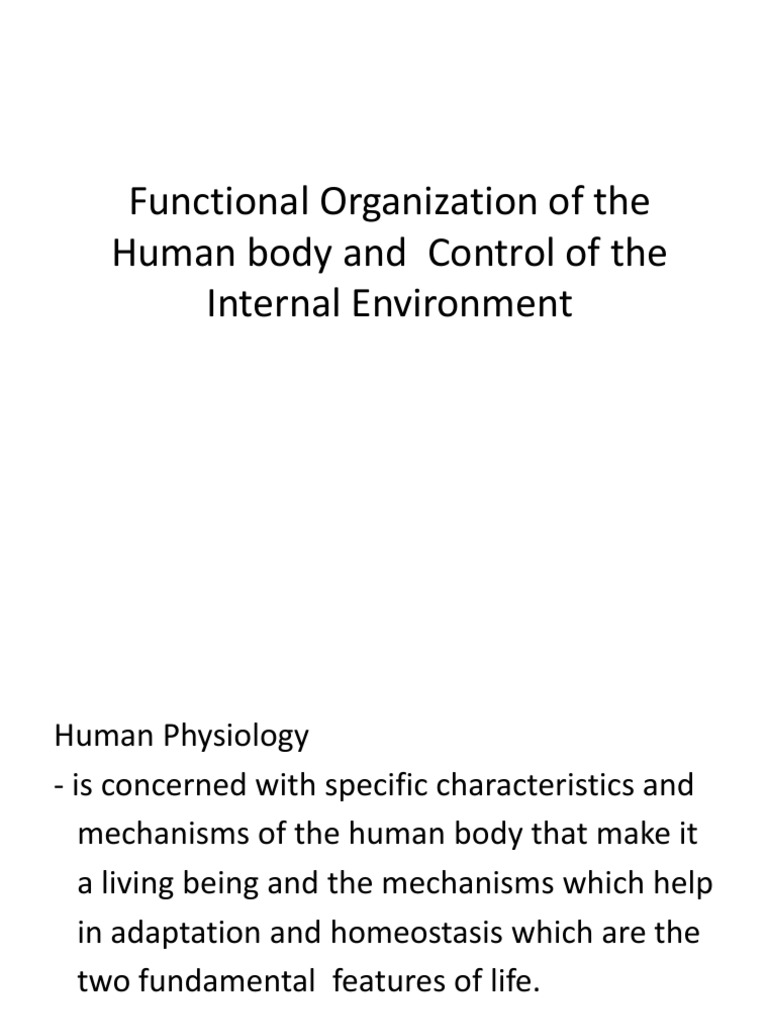 Functional Organization of The Human Body and Control | PDF | Human ...