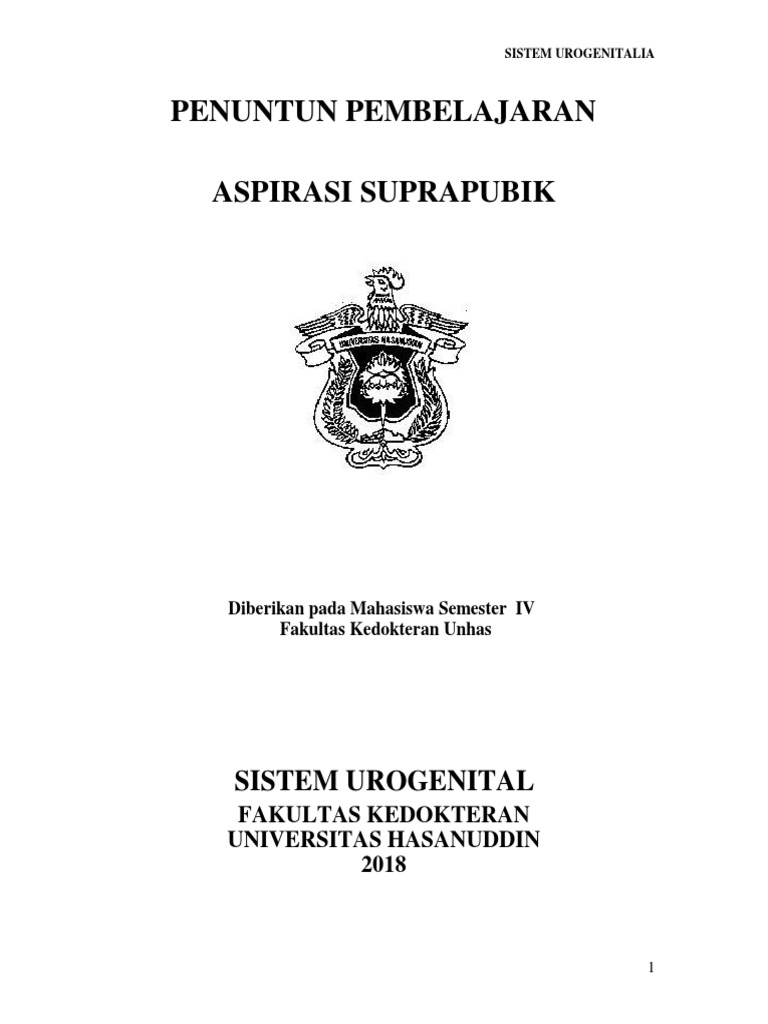 Manual CSL 3 Punksi Supra Pubik | PDF