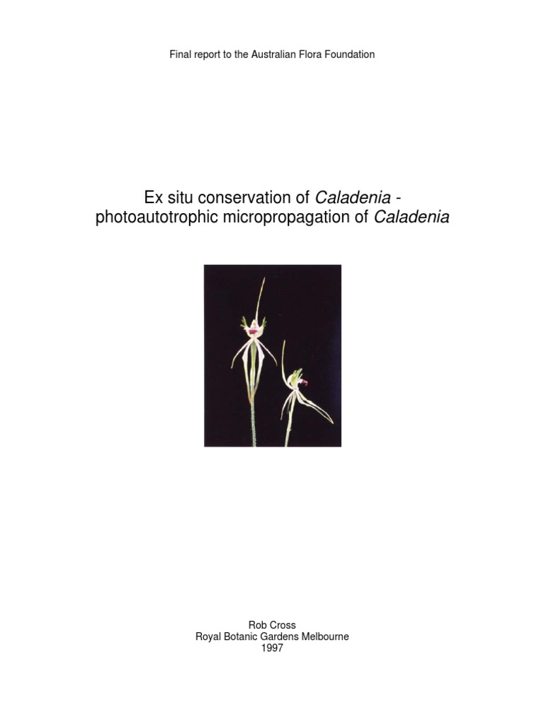 Ex Situ Conservation of Photoautotrophic Micropropagation of | PDF ...