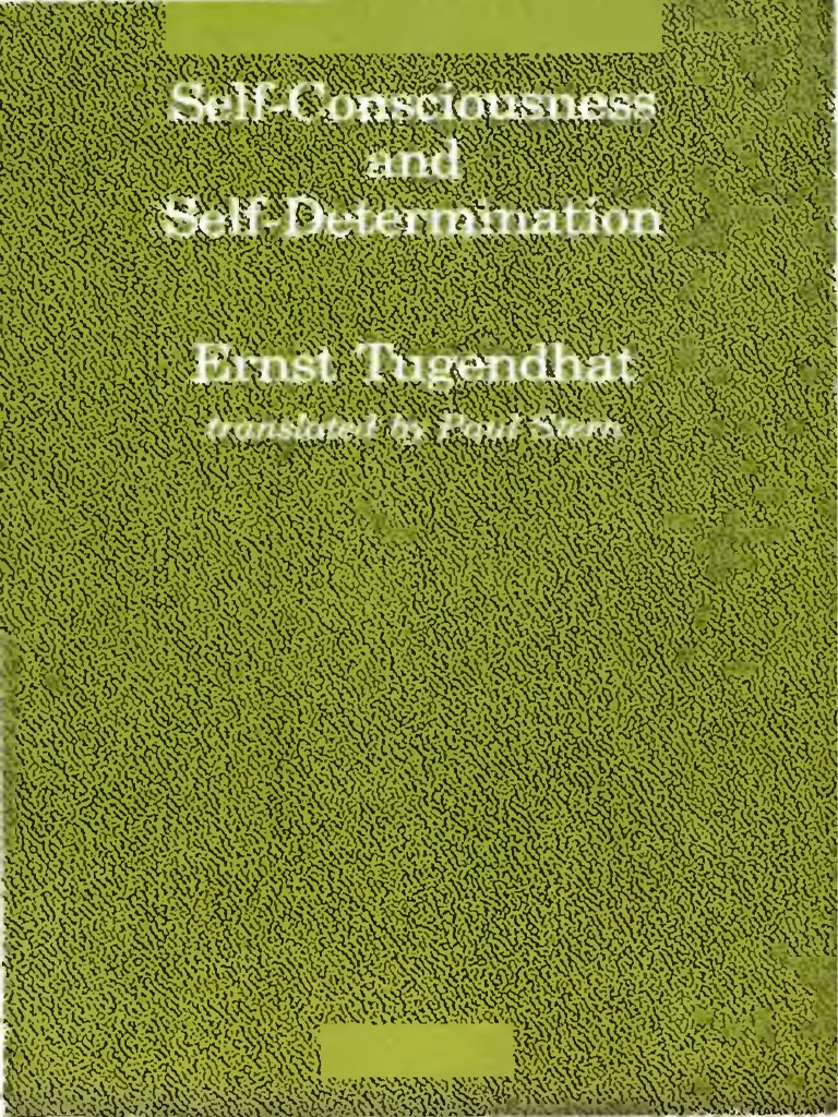 Ernst Tugendhat Overview PDF | PDF