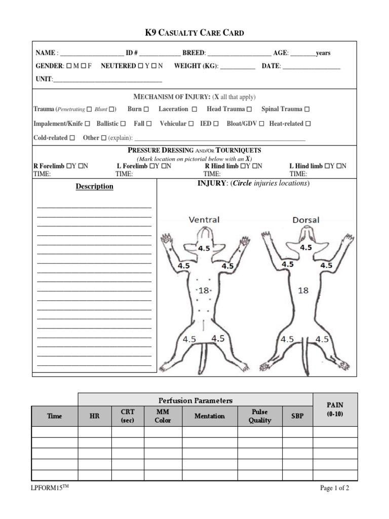 K9 TECC Casualty Card FINAL PDF | PDF | Major Trauma | Traumatology