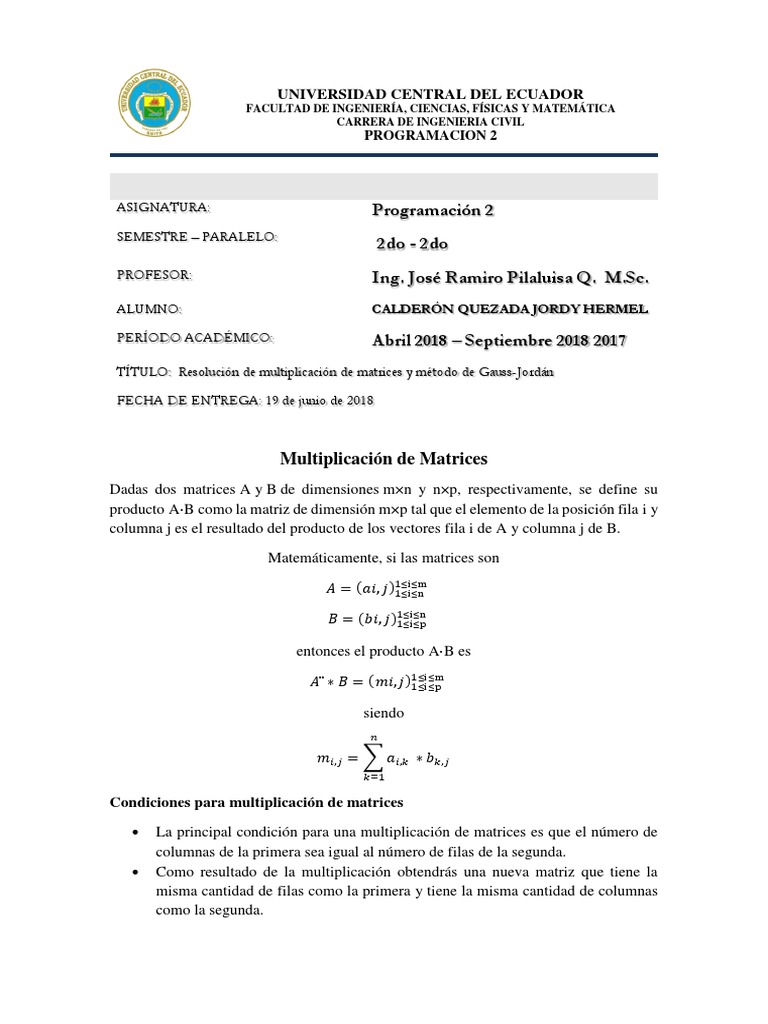 Consulta de Matrices Individual | PDF | Matriz (Matemáticas) | Álgebra