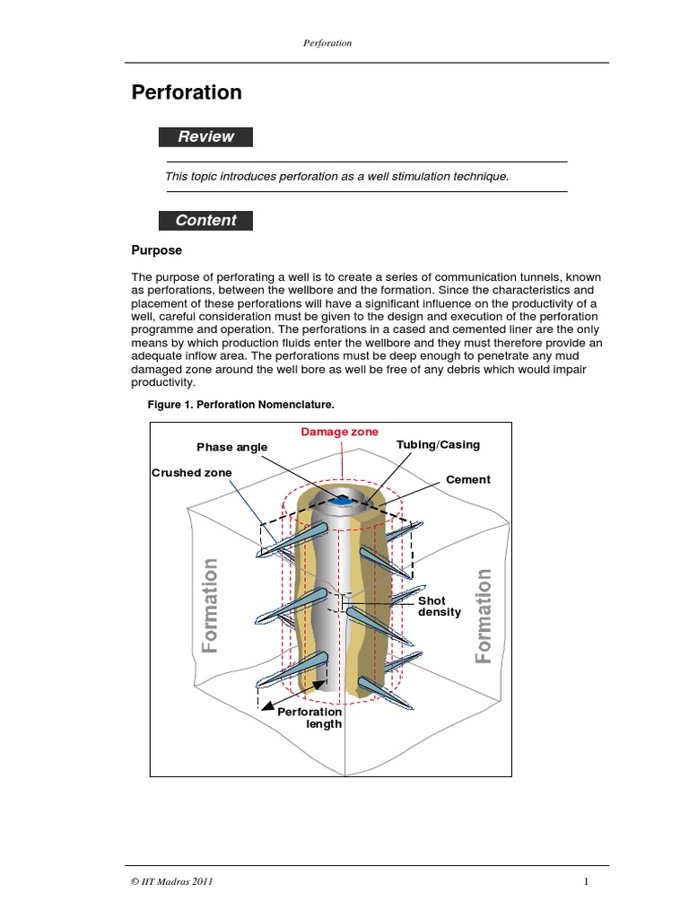 Perforation: Review | PDF | Casing (Borehole) | Pipe (Fluid Conveyance)