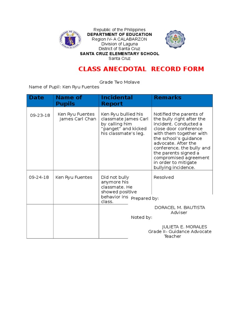 Grade 2 Anecdotal Record Sample | PDF