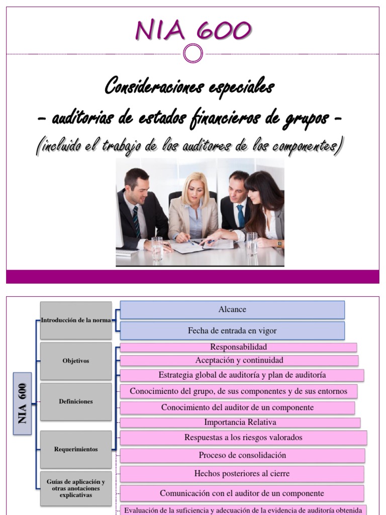 Nia 600 | PDF | Auditoría | Contralor