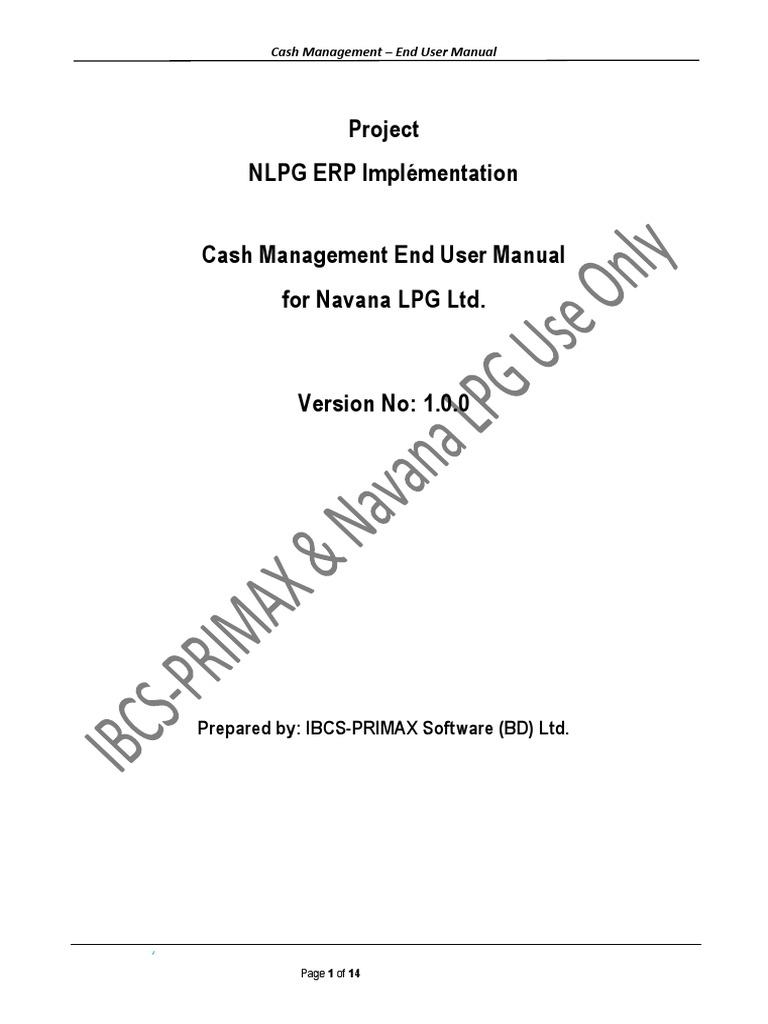 Cash Management User Manual for NLPG | PDF | Financial Transaction ...