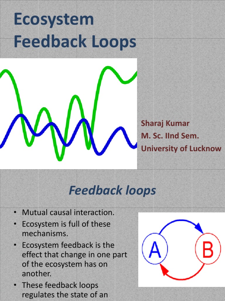 Ecosystem Feedback Loops Explained | PDF | Science & Mathematics