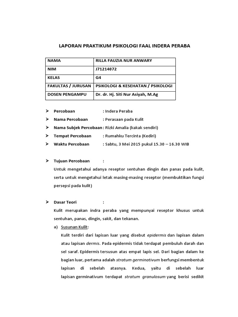 Persepsi Indera Peraba | PDF